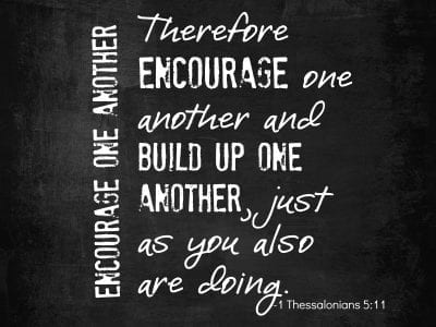 Disciples | Ginger Harrington