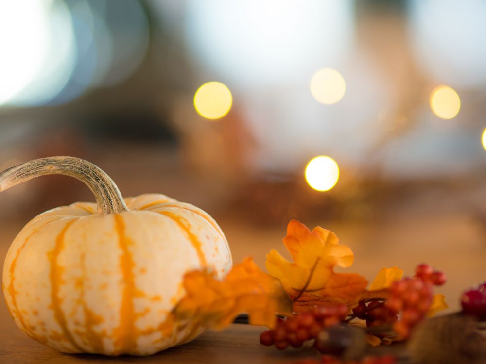 Why Gratitude Matters: How Giving Thanks Changes Your Life